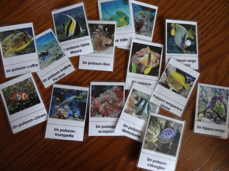 Nos cartes "marines'...