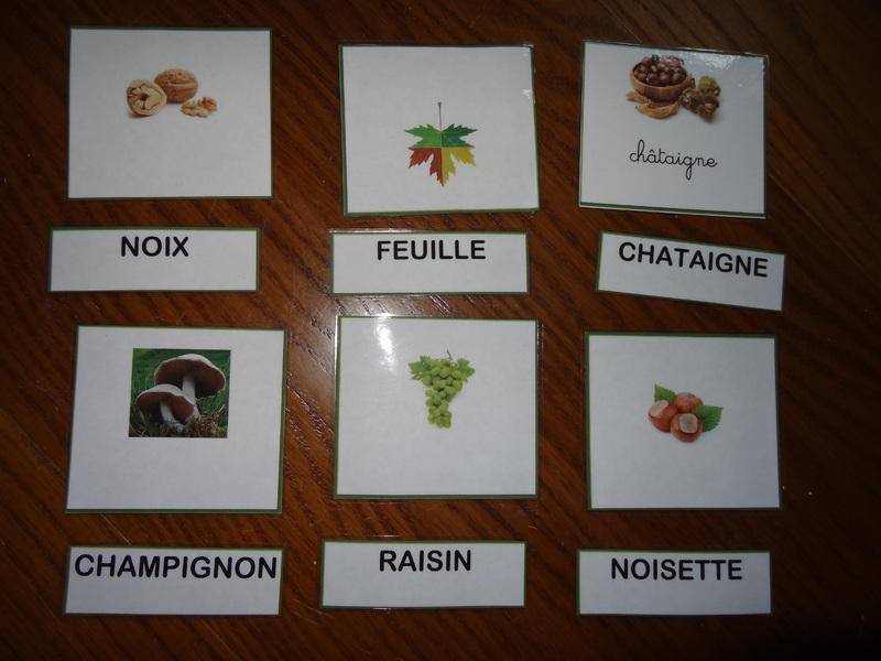 Nos cartes d'automne...