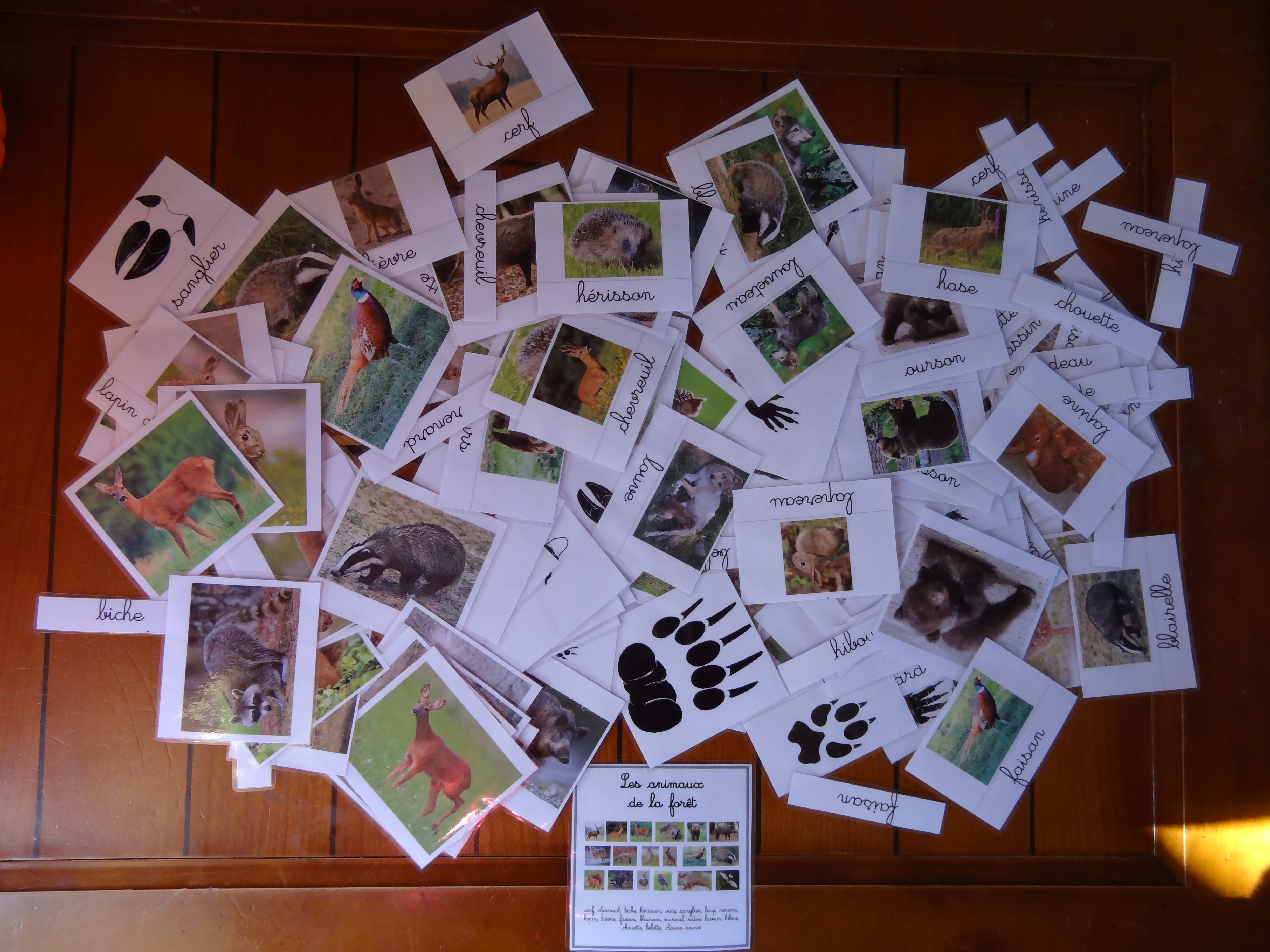 Les animaux de la forêt...